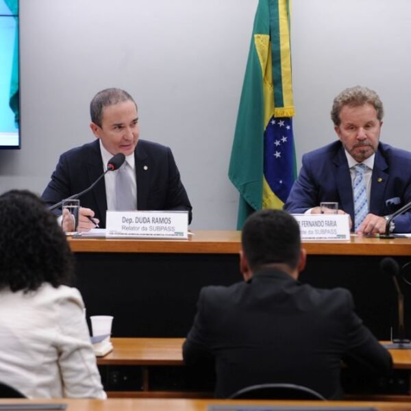 Deputado Duda Ramos assume presidência de Subcomissão para fiscalizar ...